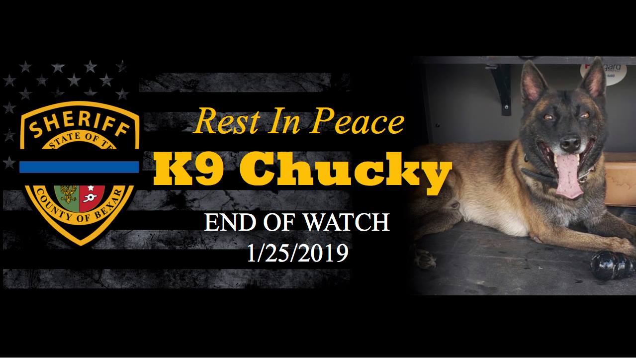 BCSO to give final farewell for ‘hero’ K-9 Chucky on Monday
