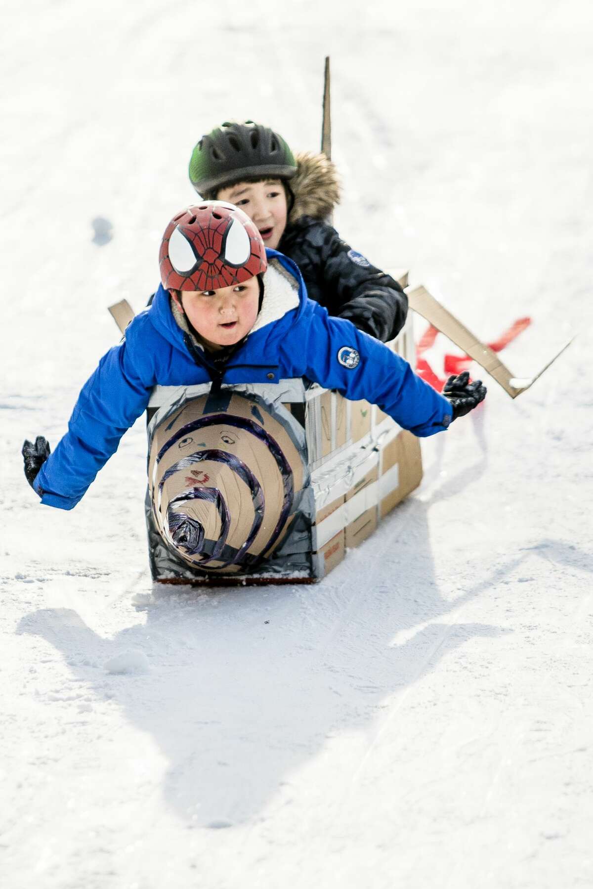 Cardboard sledding race at City Forest - Jan. 26, 2019