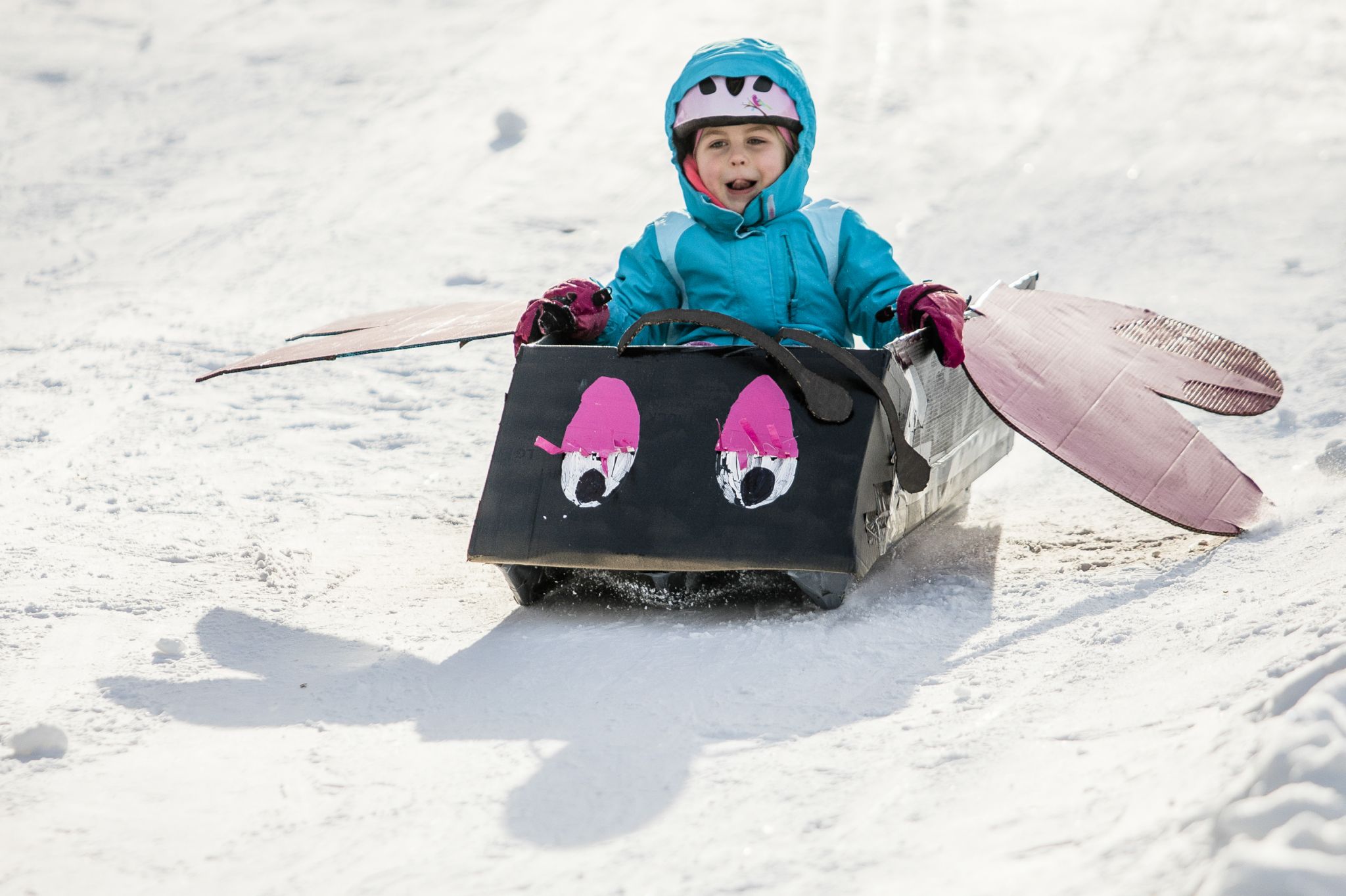 Cardboard sledding race at City Forest - Jan. 26, 2019