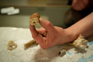 Top 9 things to do in Amador County