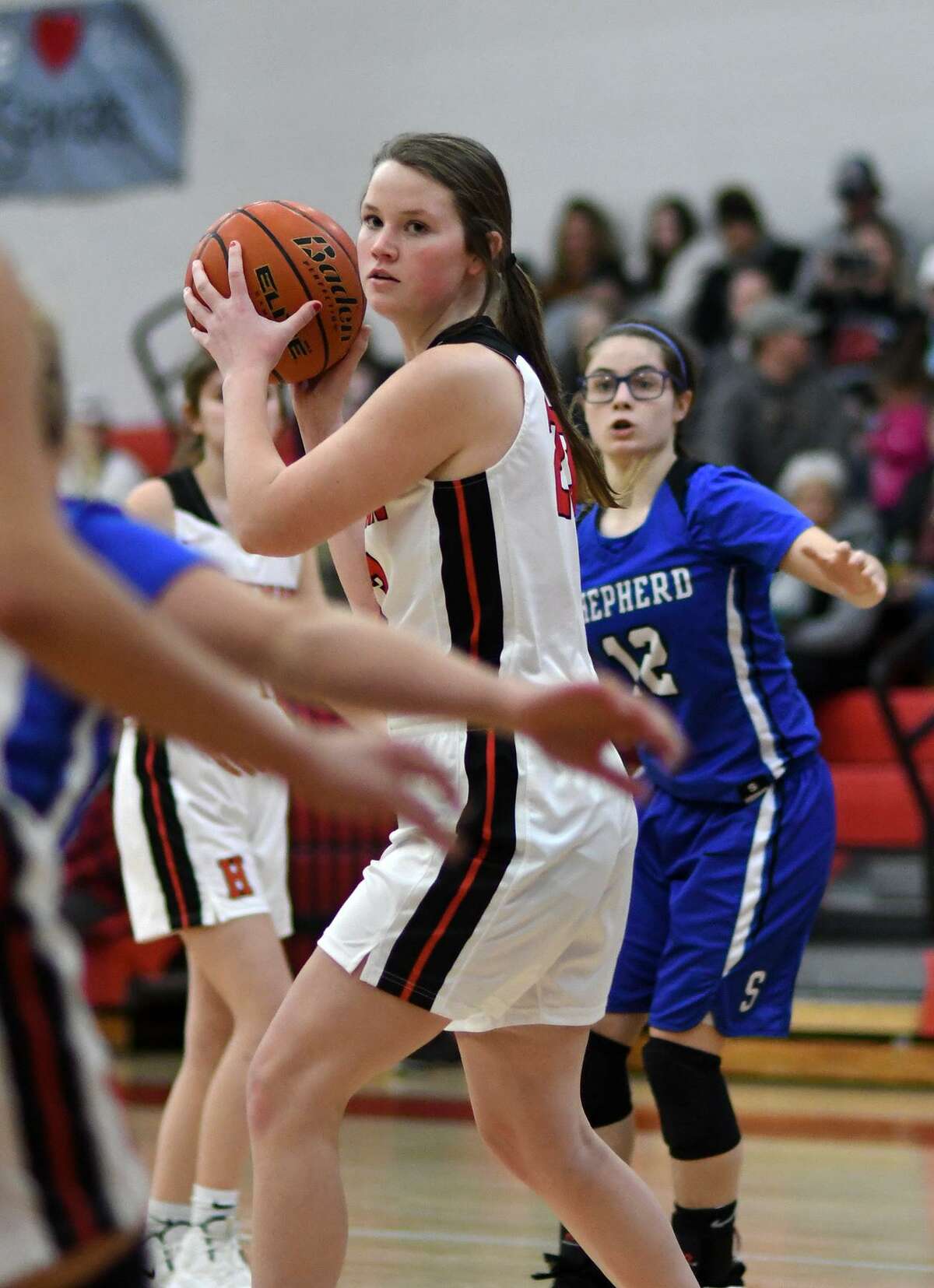 Girls basketball: Win clinches playoff berth for Lady Falcons