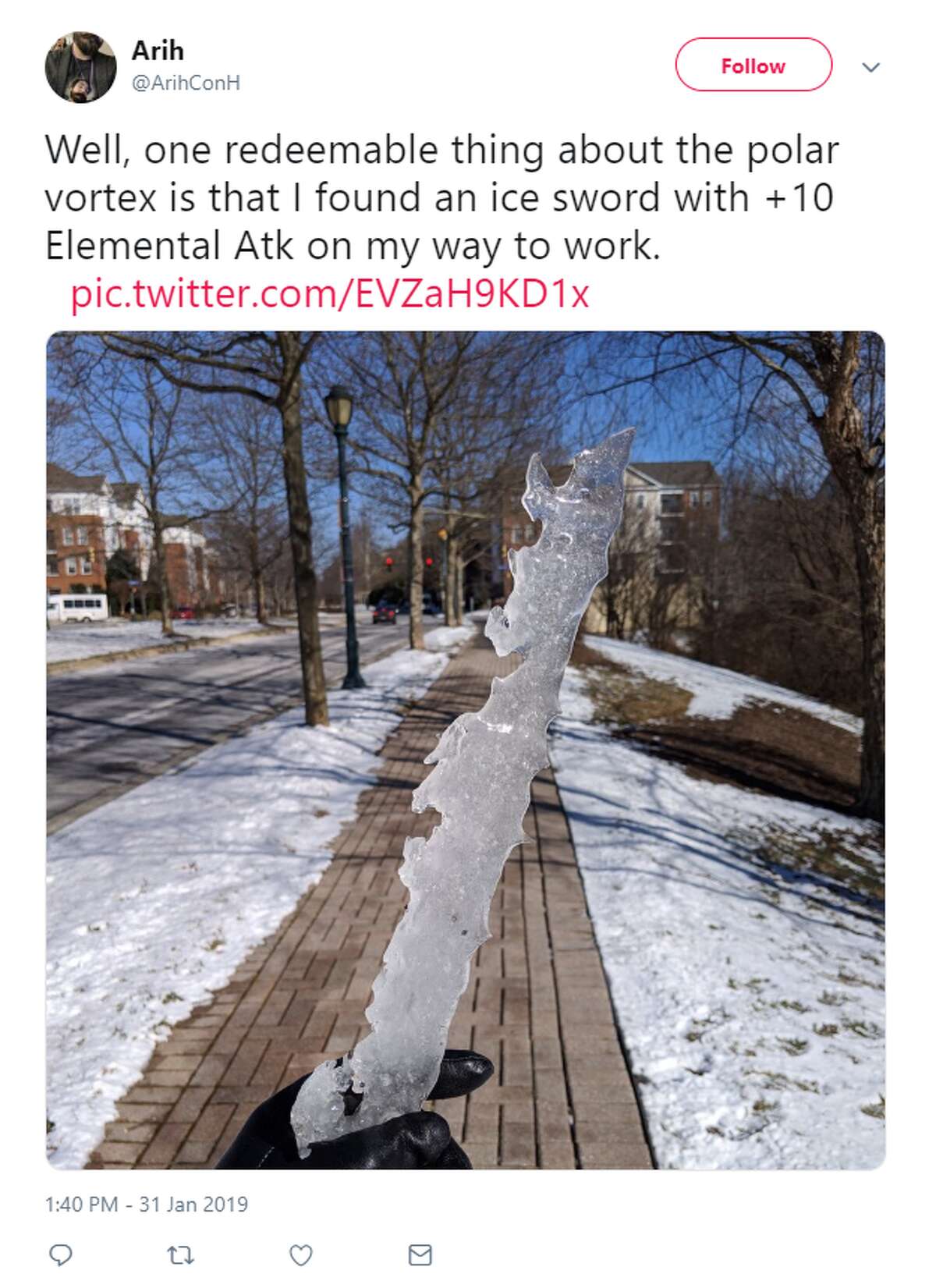 13 reasons why we should love living in Houston during the polar vortex