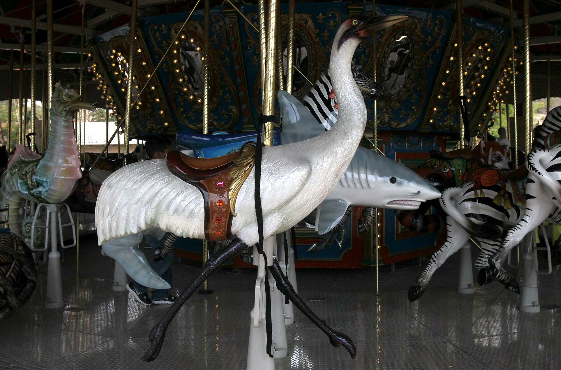 These 6 classic San Antonio carousels take nostalgia and history by the ...