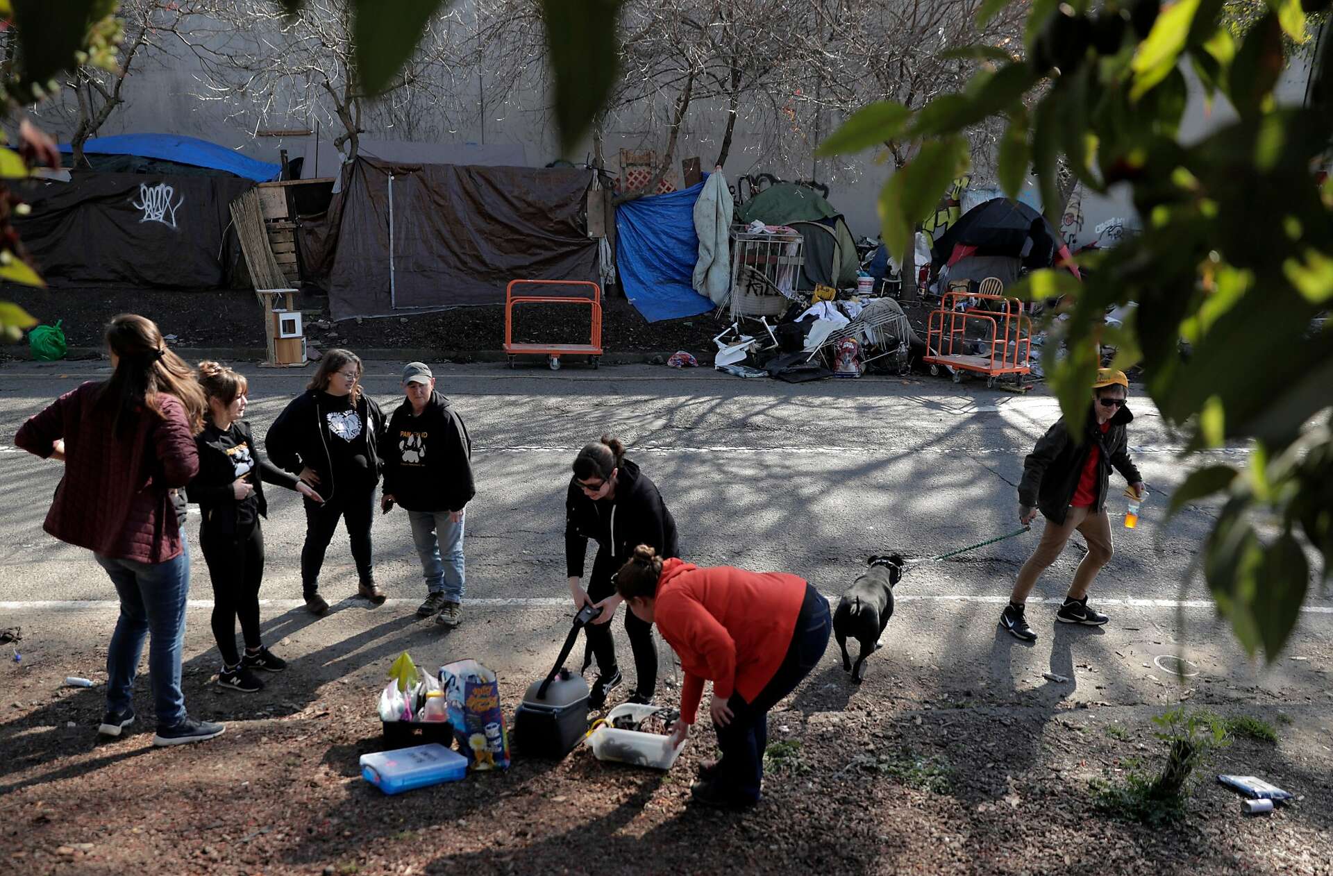 Care providers for pets of homeless prevent disease, maintain dignity