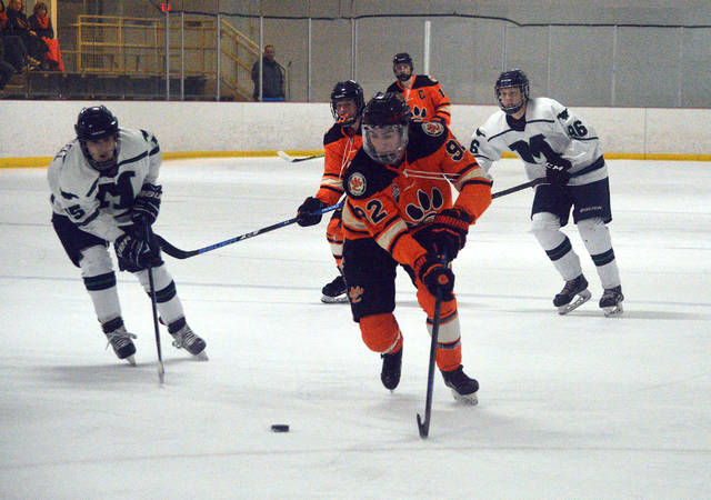 ICE HOCKEY: Marquette holds on to beat Edwardsville (87 photos)