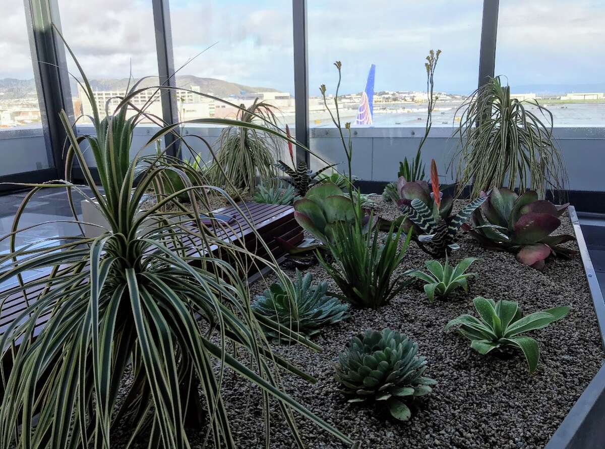 SFO unveils dramatic outdoor observation deck [PHOTOS]