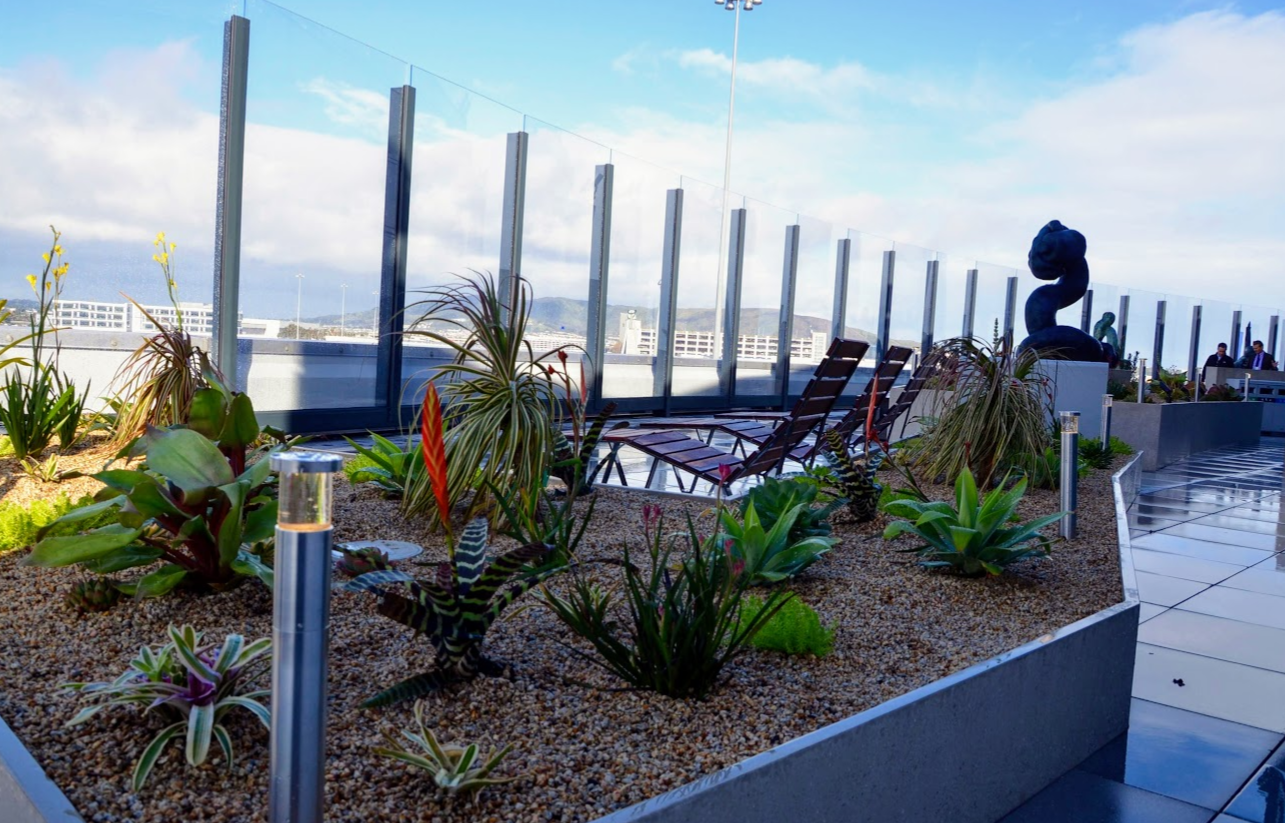 SFO unveils dramatic outdoor observation deck [PHOTOS]