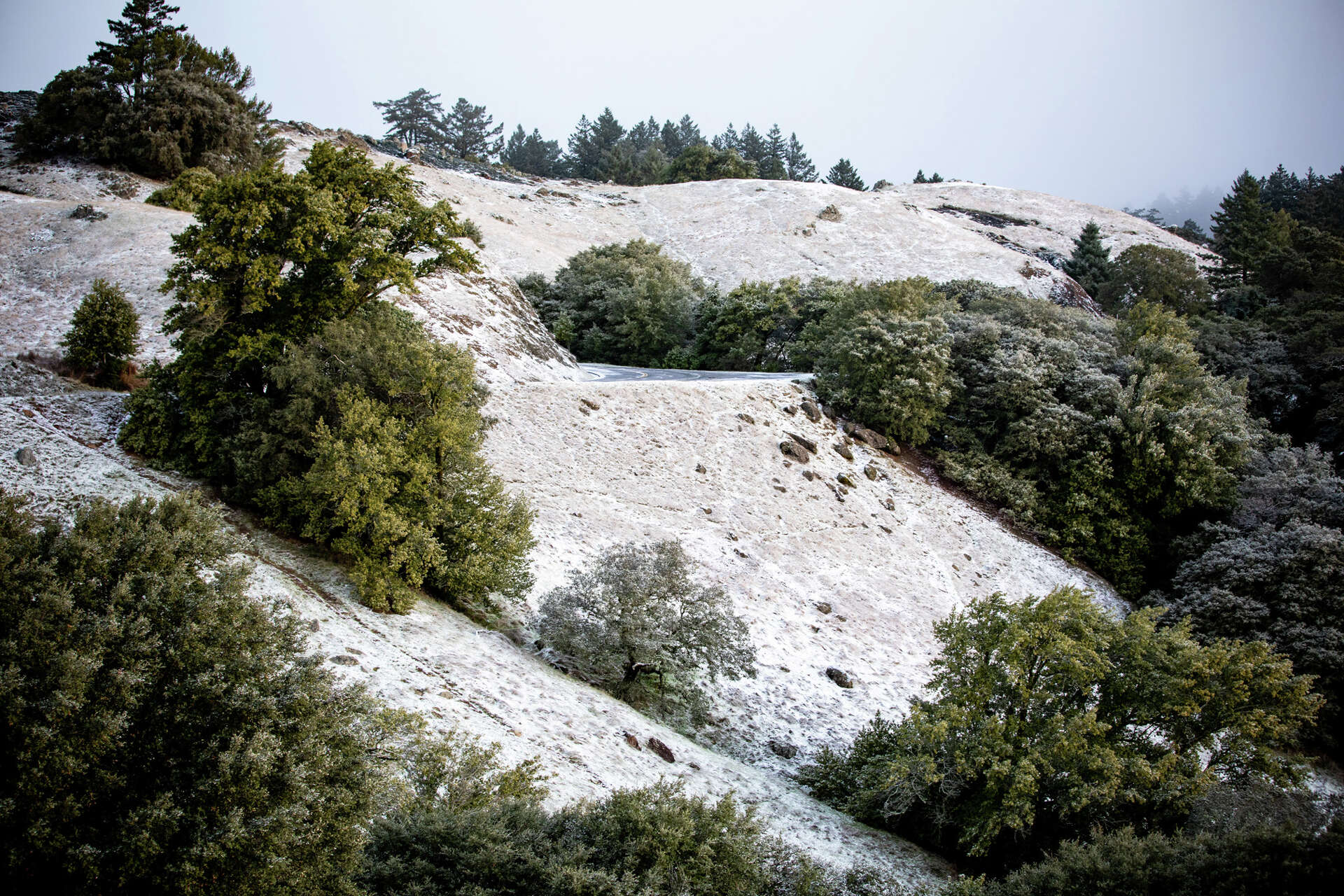 That's not Tahoe: Mt. Tam looks like a winter wonderland after snow dusting