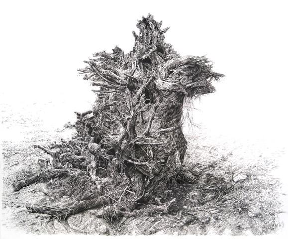 Silvermine show winner Rick Shaefer gets solo exhibition