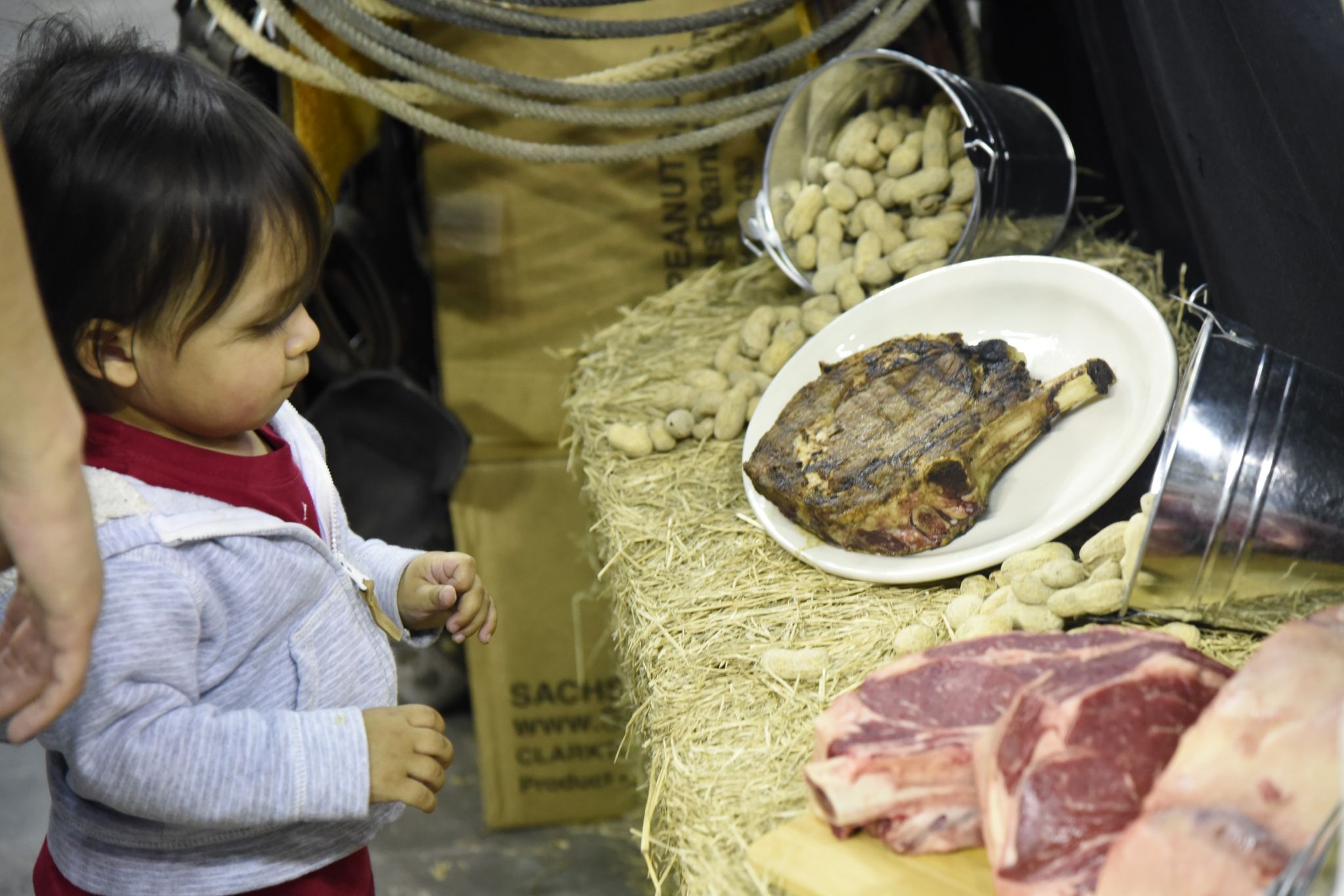 Photos: Locals enjoy border cuisine, live music at 2019's Taste of Laredo