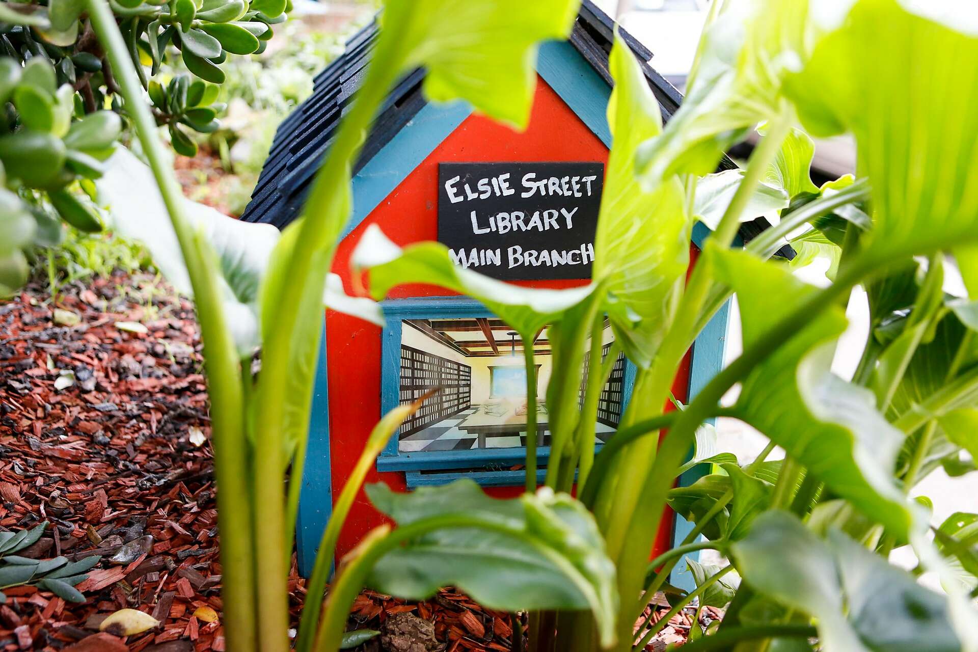 Tiny neighborhood libraries worth checking out