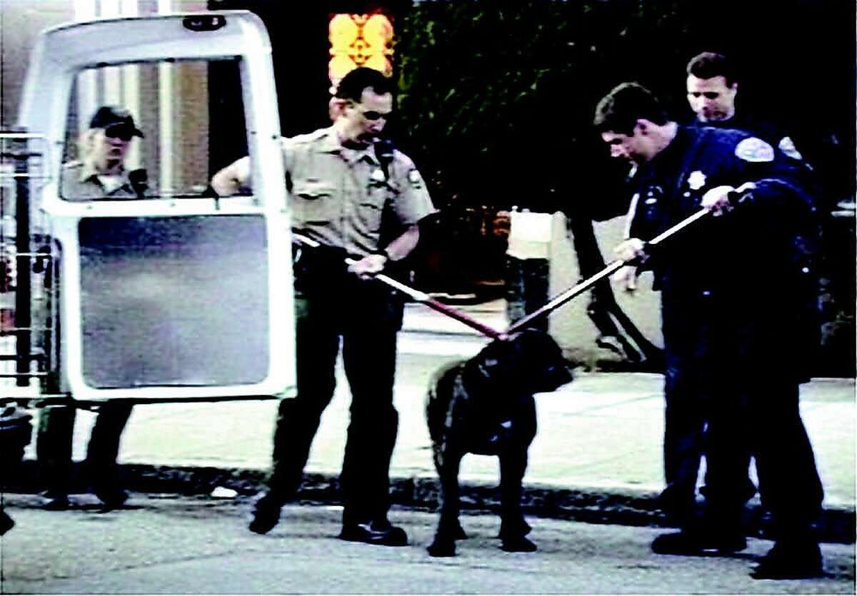 2001 fatal dog mauling of Diane Whipple in San Francisco