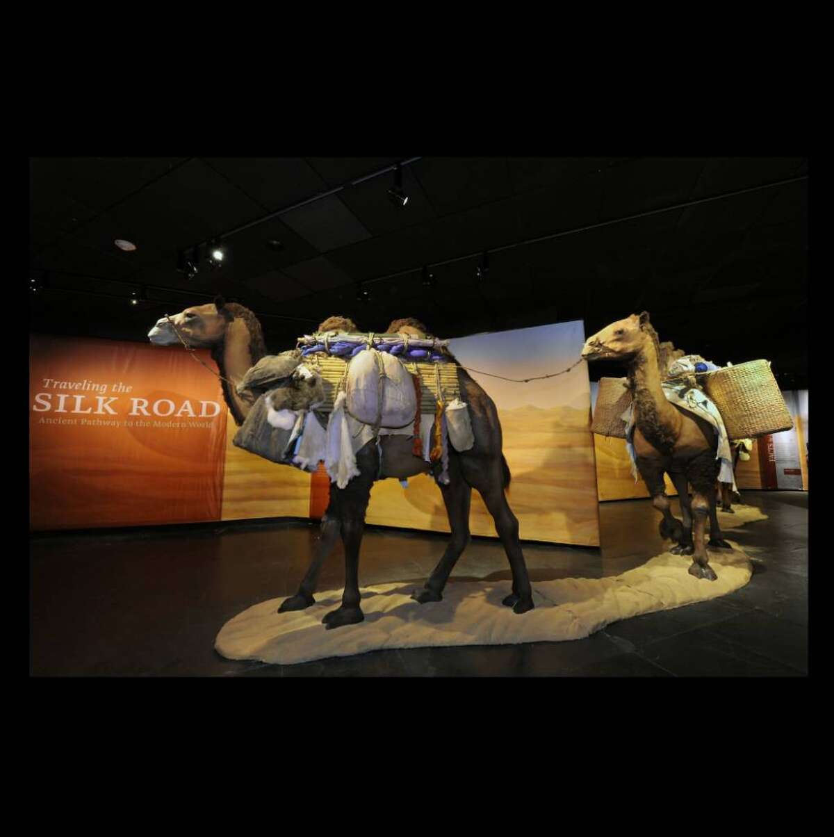 Exhibit lets you explore ancient Silk Road
