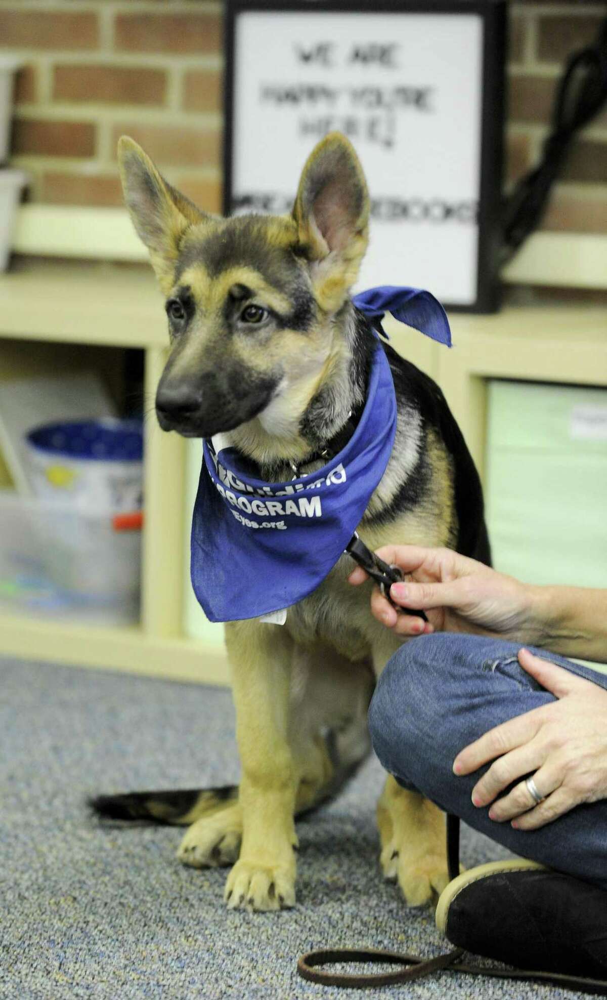 Greenwich kindergartners learn ABC’s of guide dogs