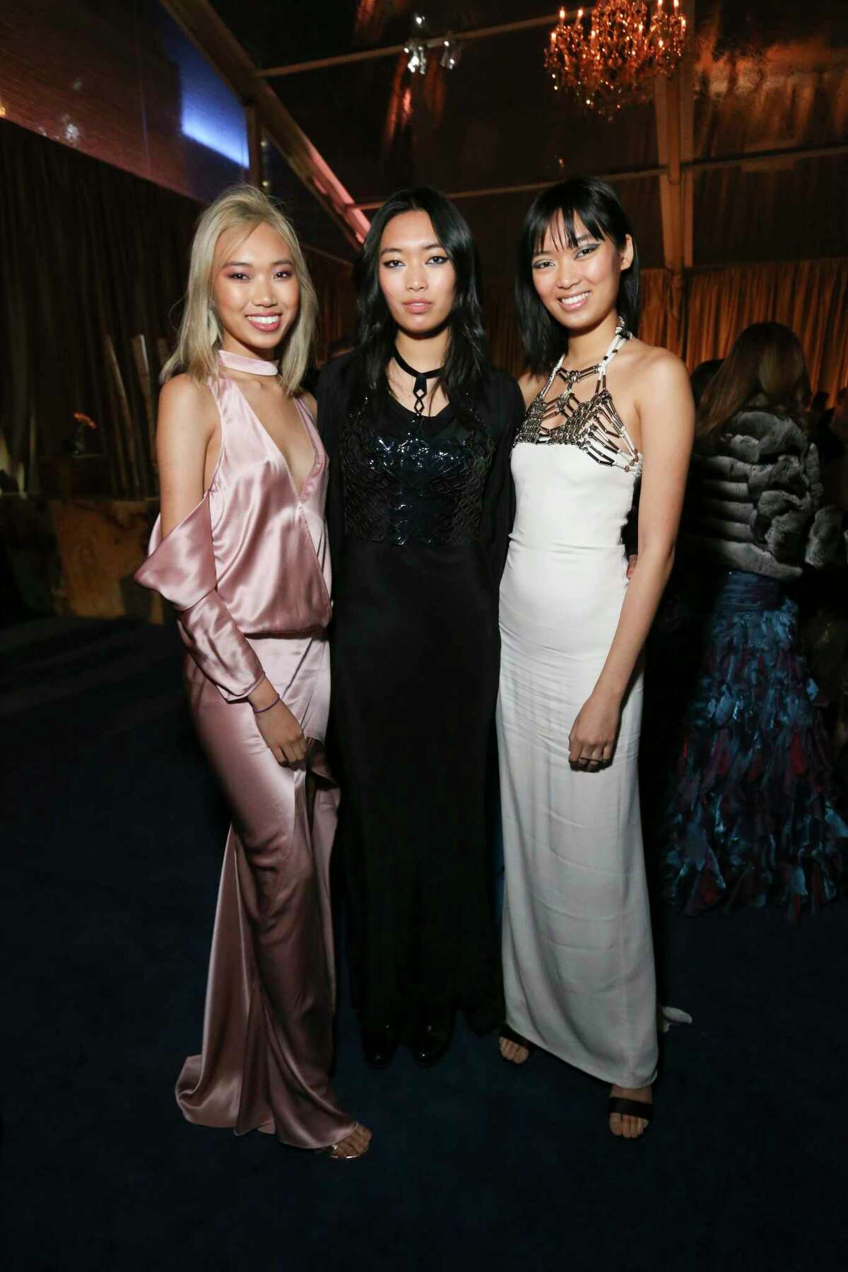 Starry Houston Ballet Ball dances into a record-breaking $1.6 million ...