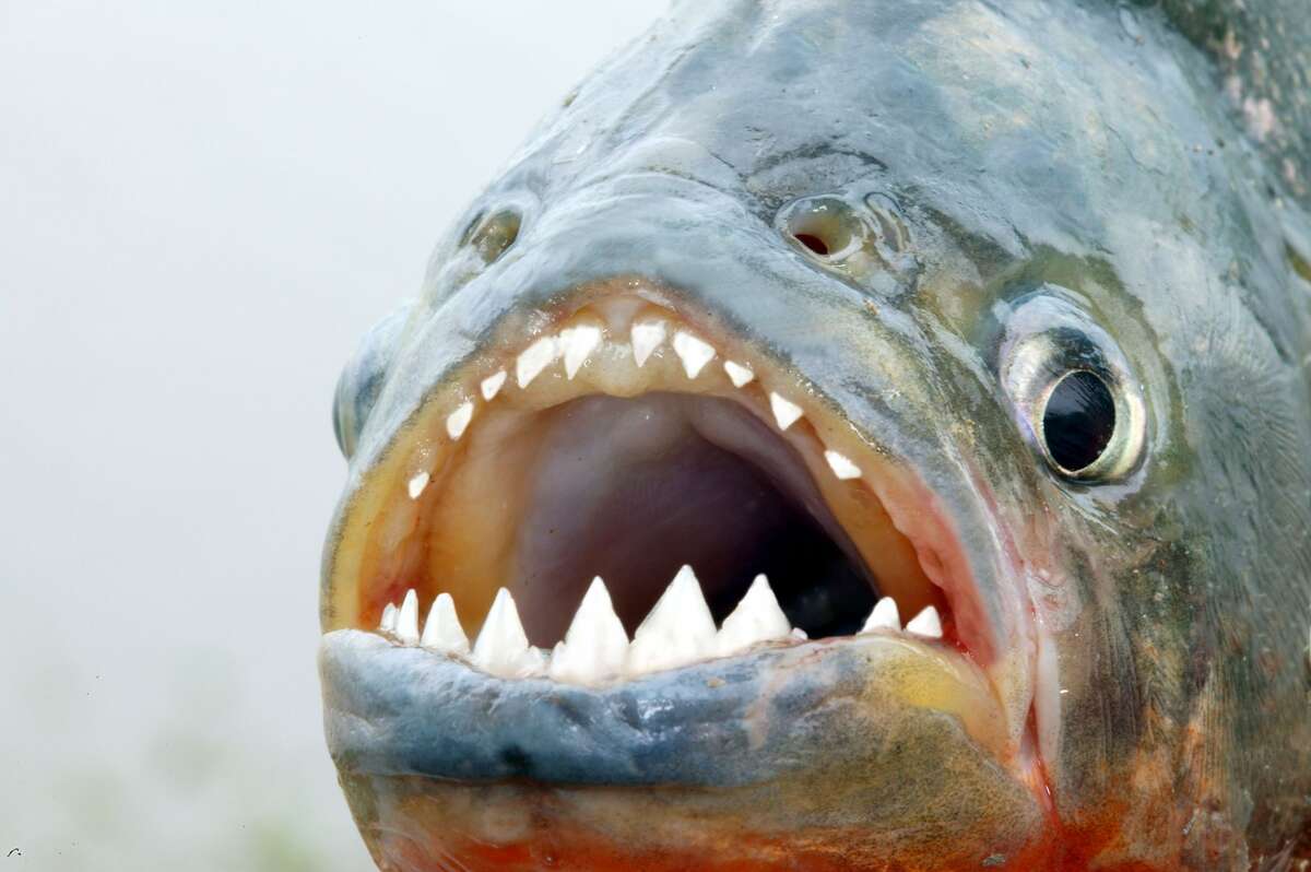 Things that used to scare us but are no longer news