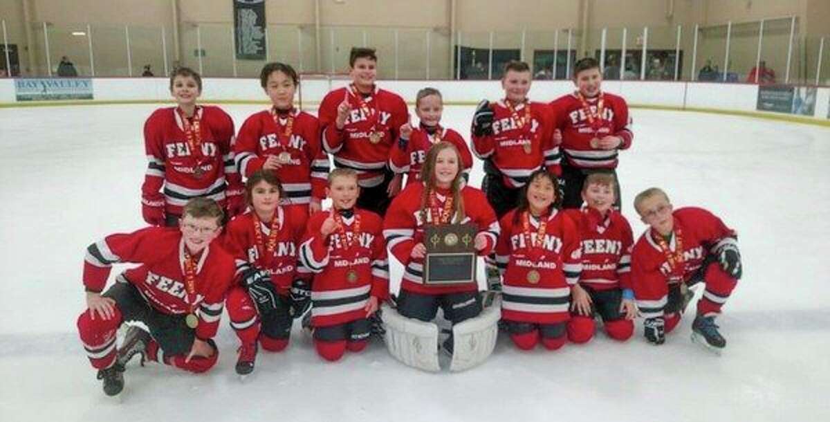 Midland Feeny hockey wins 10U district, advances to state