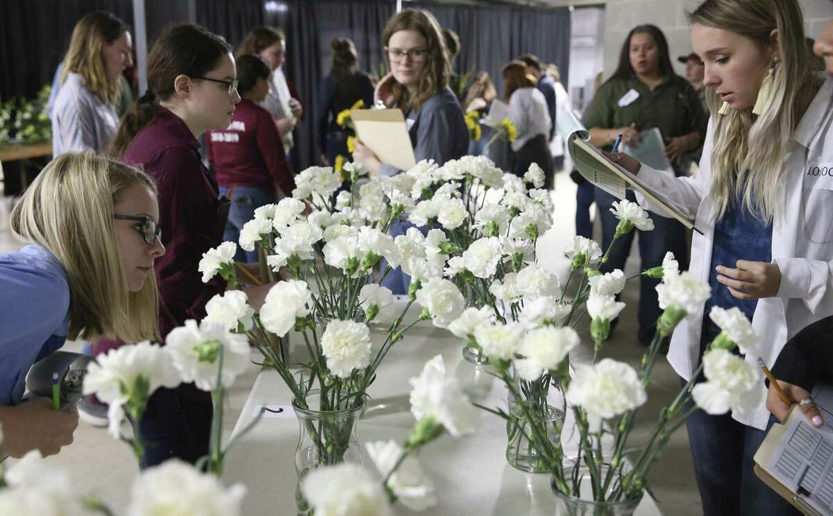 Love has helped floral industry thrive despite economic swings