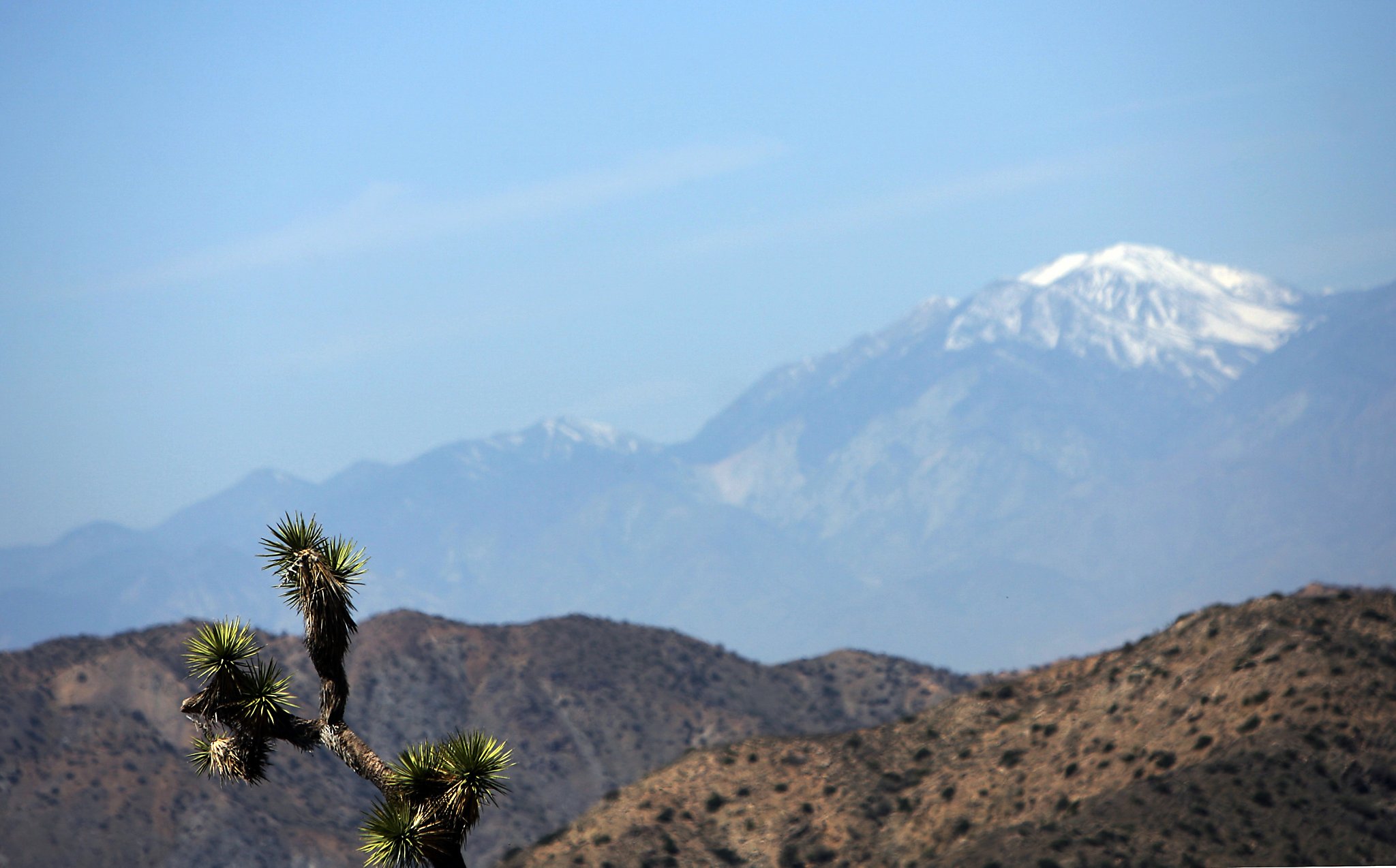 Death Valley, Joshua Tree national parks would grow under Senate-passed ...