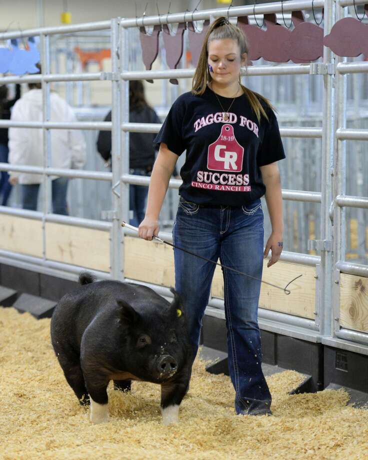 Scenes from the first day of the Katy ISD FFA Livestock Show & Rodeo ...
