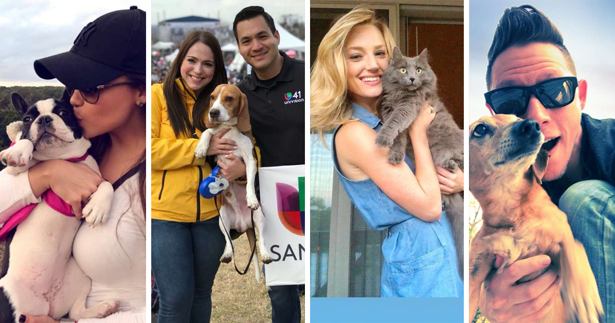San Antonio TV & radio personalities show 'puppy love' for their pets