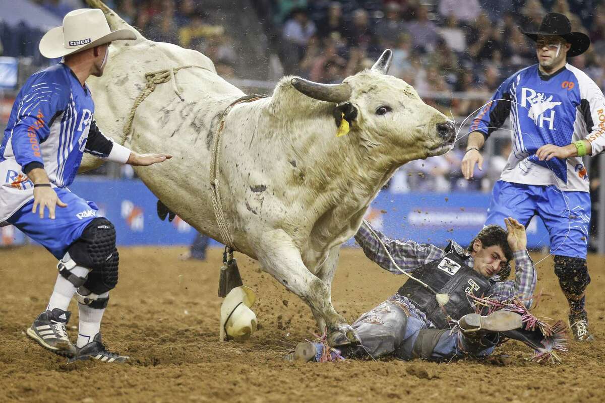 The best photos from the 2018 Houston Livestock Show and Rodeo