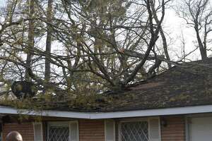 Big Bopper's casket appears on eBay, but its not for sale - Beaumont ...