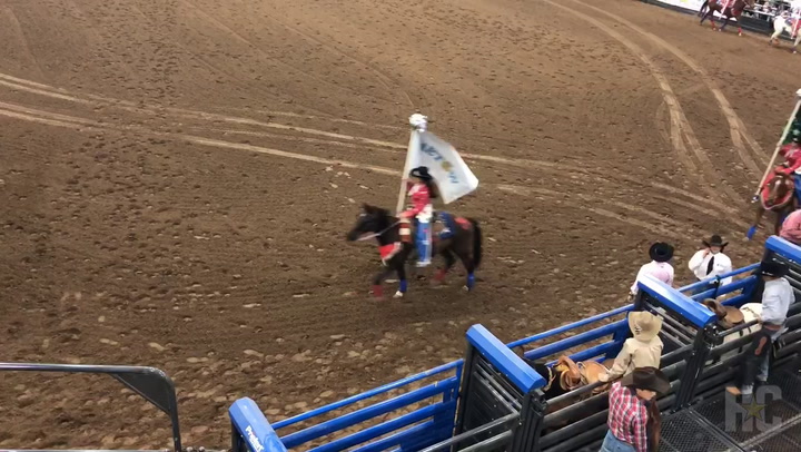 Students kick off first day of Katy ISD FFA Livestock Show and Rodeo in ...