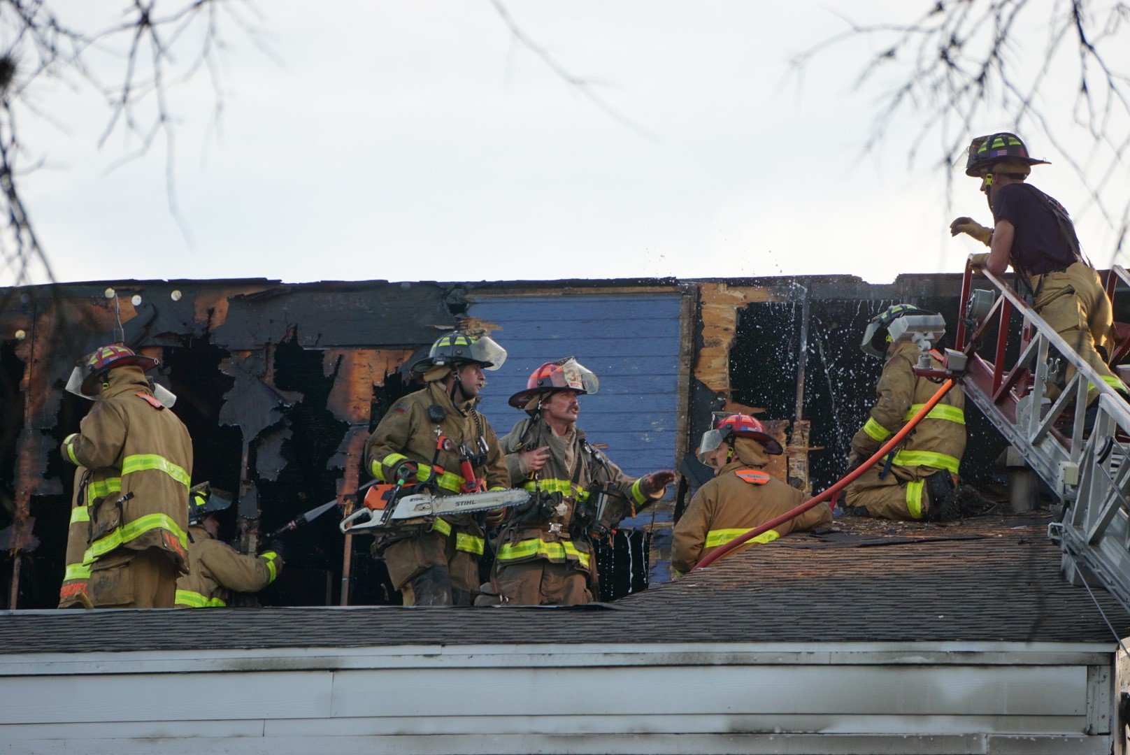 North Side apartment fire displaces 10 families, leaves 4 dogs dead