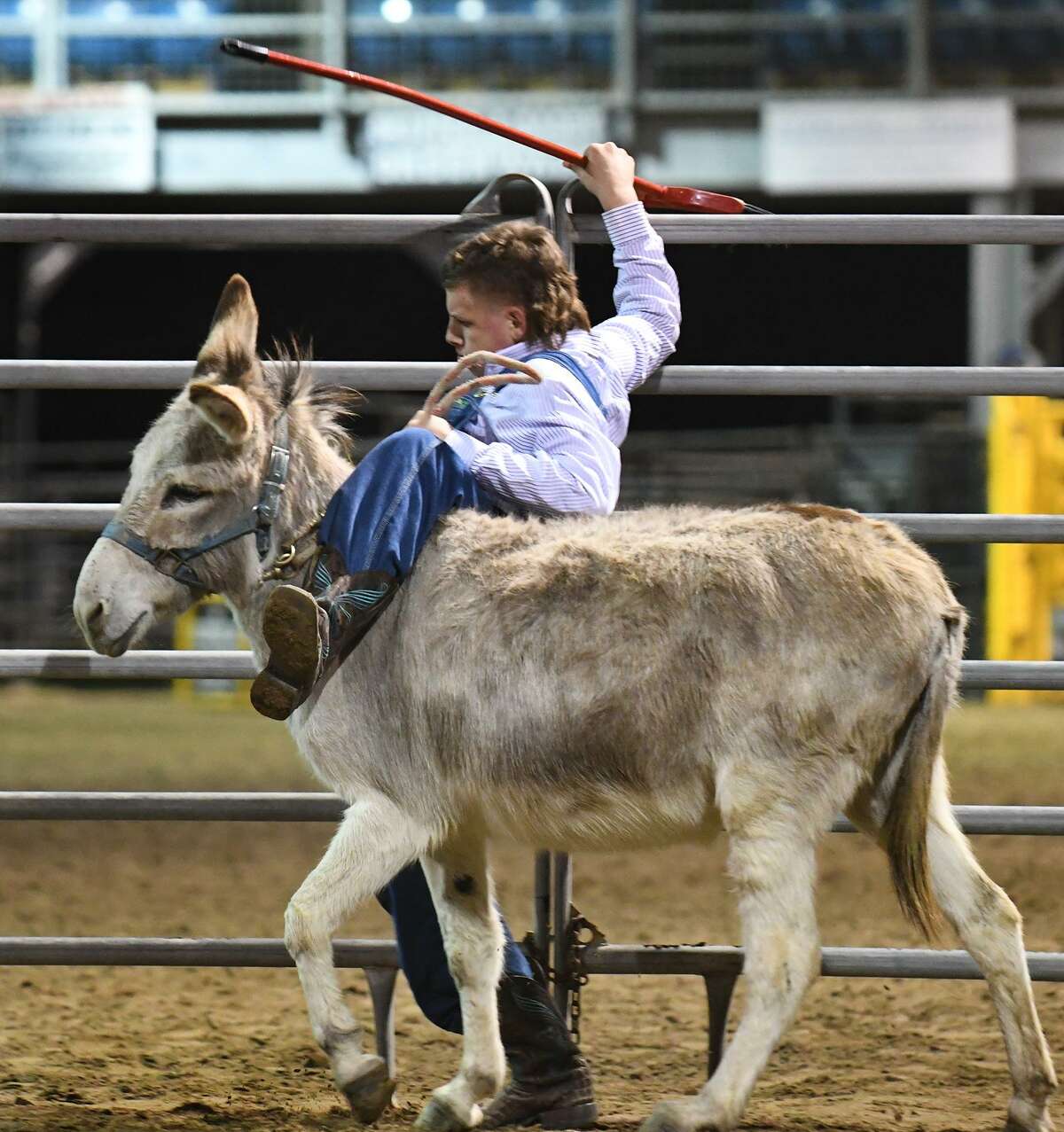 Crosby Young Farmers puts on Donkey Polo fundraiser for the community