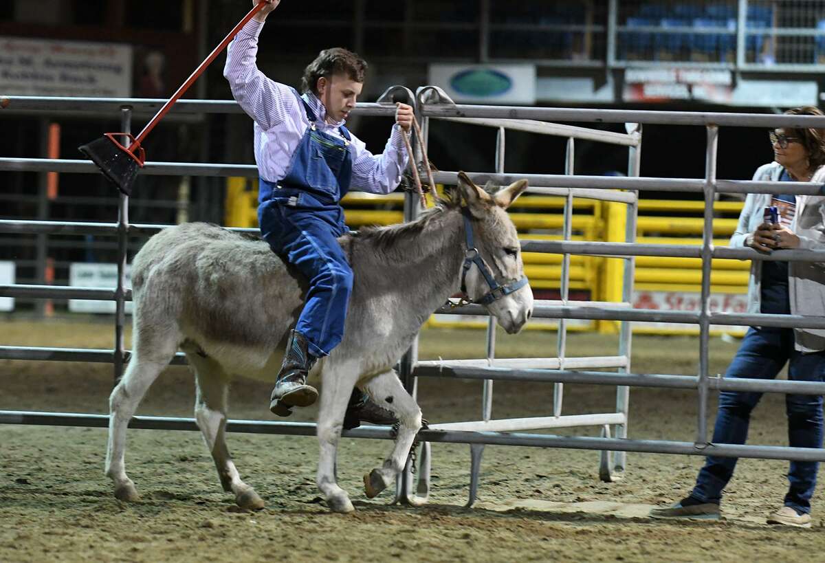 Crosby Young Farmers puts on Donkey Polo fundraiser for the community