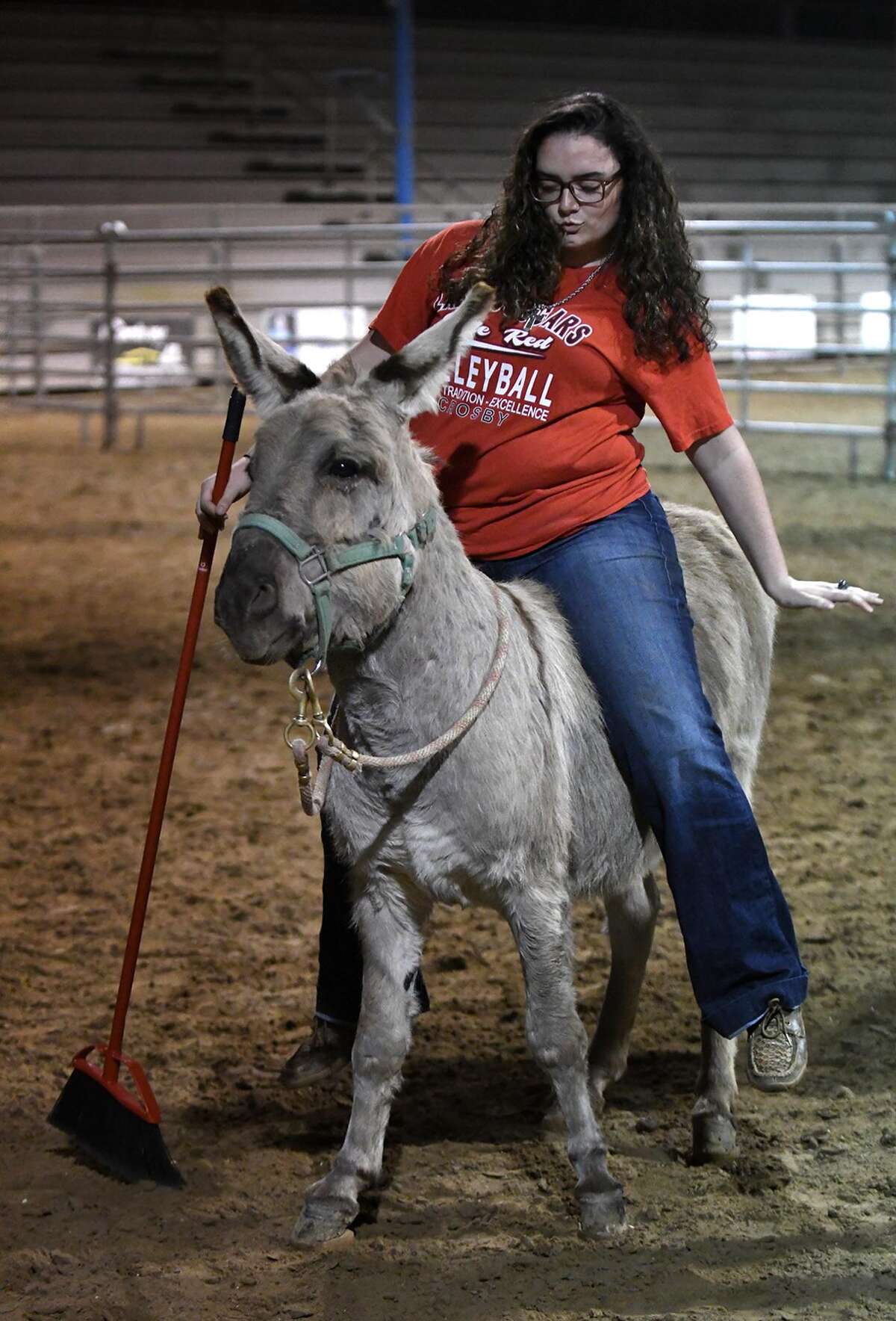 Crosby Young Farmers puts on Donkey Polo fundraiser for the community