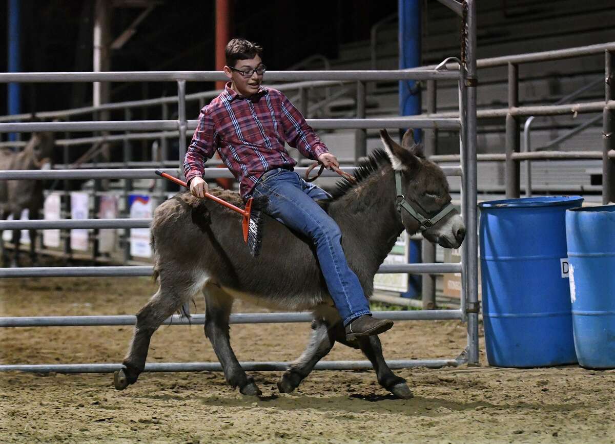 Crosby Young Farmers puts on Donkey Polo fundraiser for the community