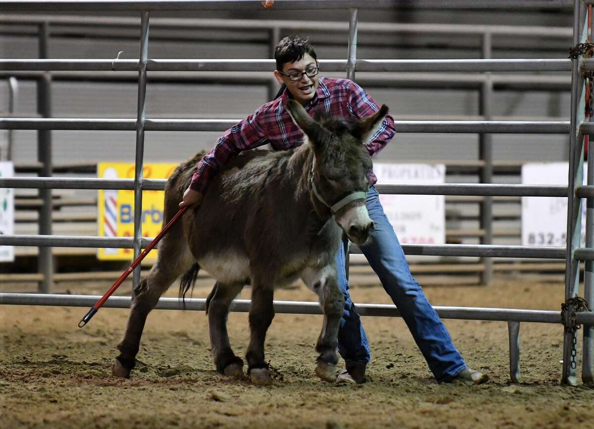 Crosby Young Farmers puts on Donkey Polo fundraiser for the community