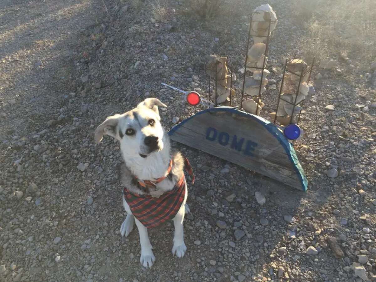 This beautiful off-grid adobe dome straight out of Star Wars is ...