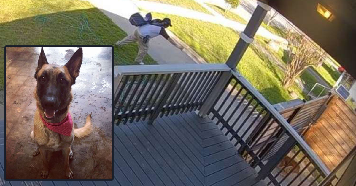 U.S. Postal Service responds to video allegedly showing San Antonio ...