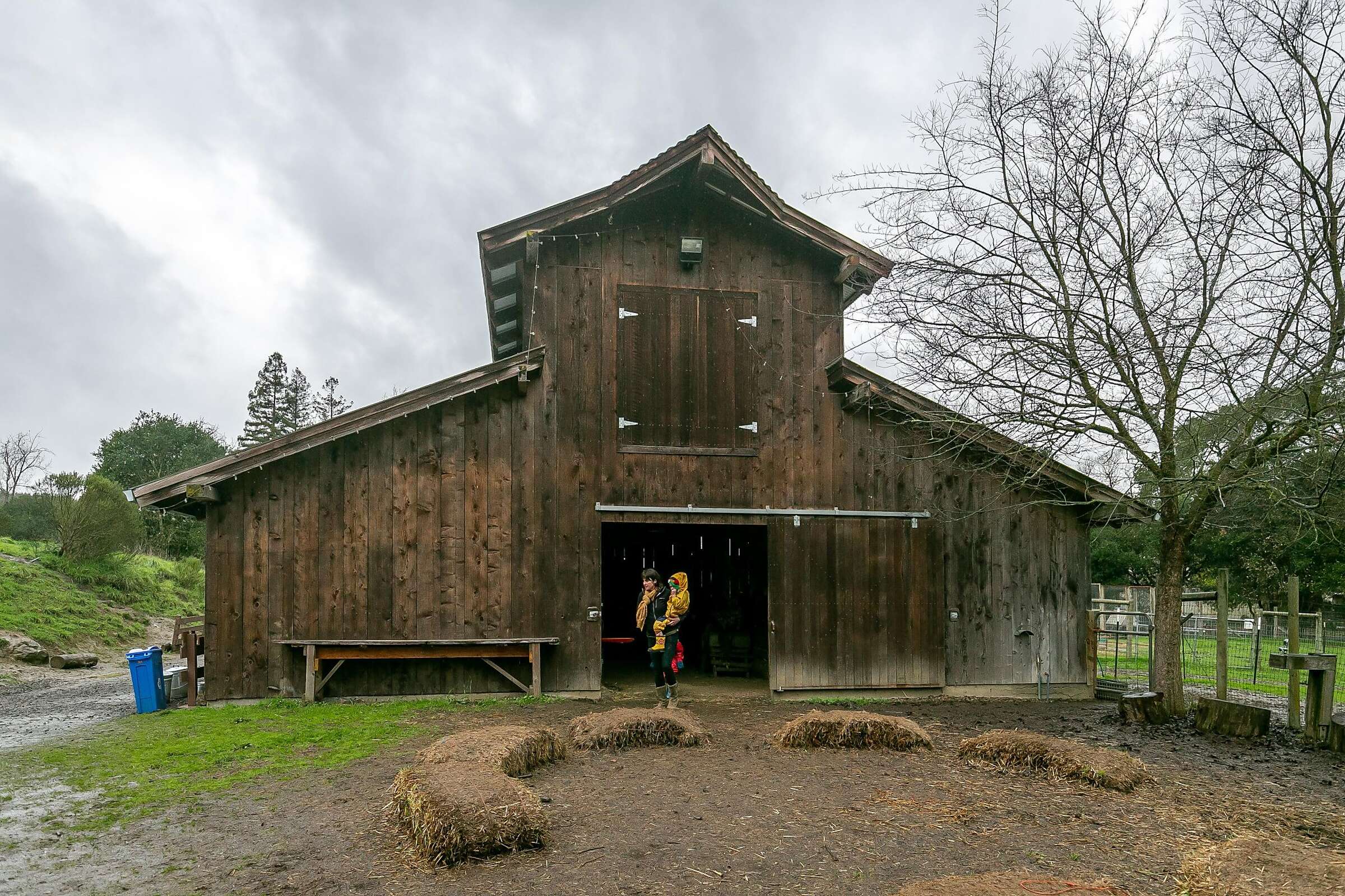 Family-friendly places to visit in the Napa Valley