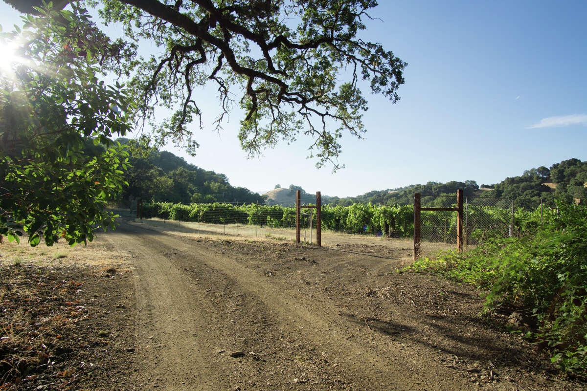 An entire California wine appellation is on the market for $3.3 million