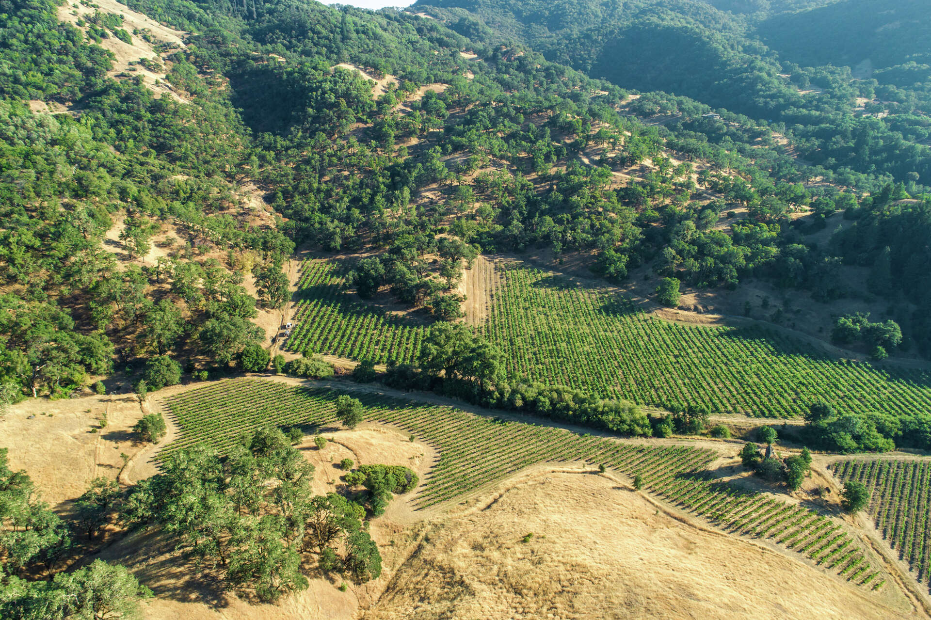 An entire California wine appellation is on the market for $3.3 million