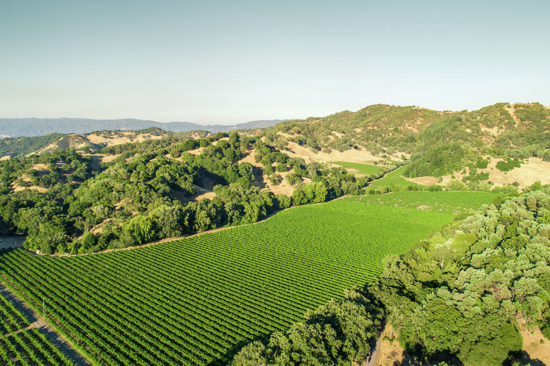 An entire California wine appellation is on the market for $3.3 million
