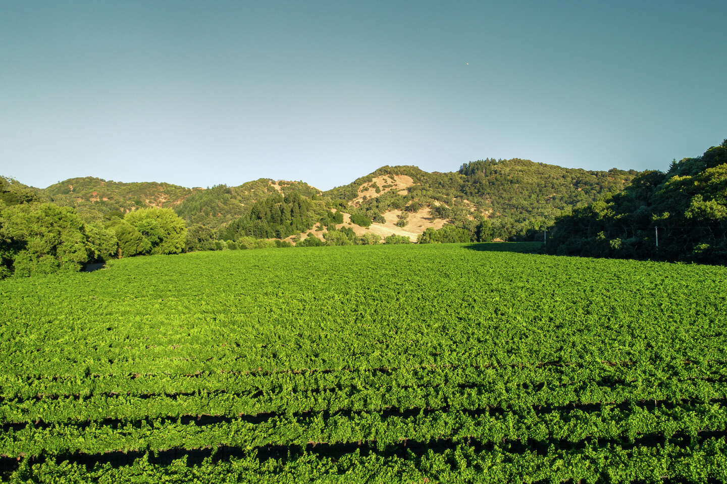 An entire California wine appellation is on the market for $3.3 million