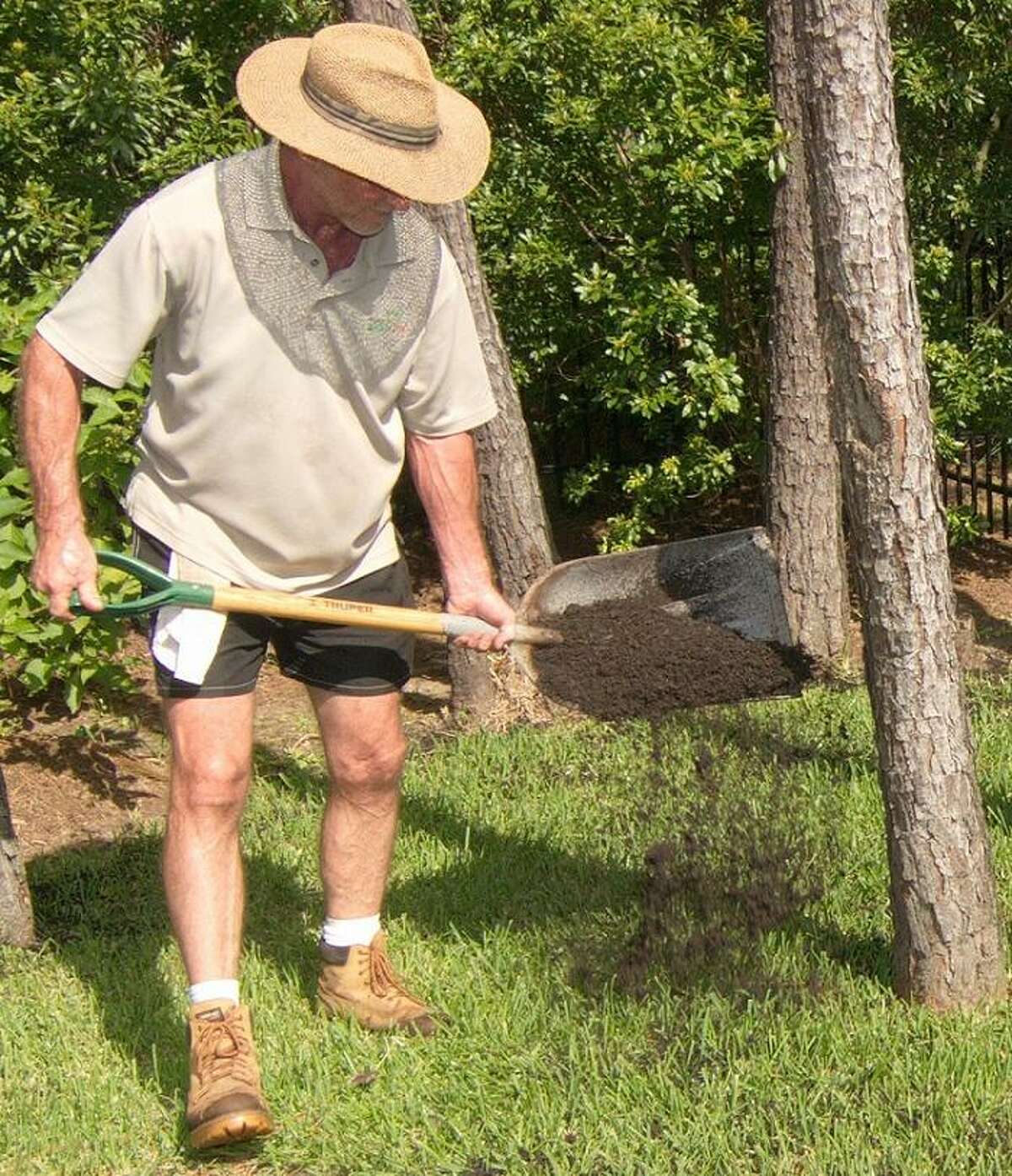 Your 2019 San Antonio Lawn Care Guide And Schedule