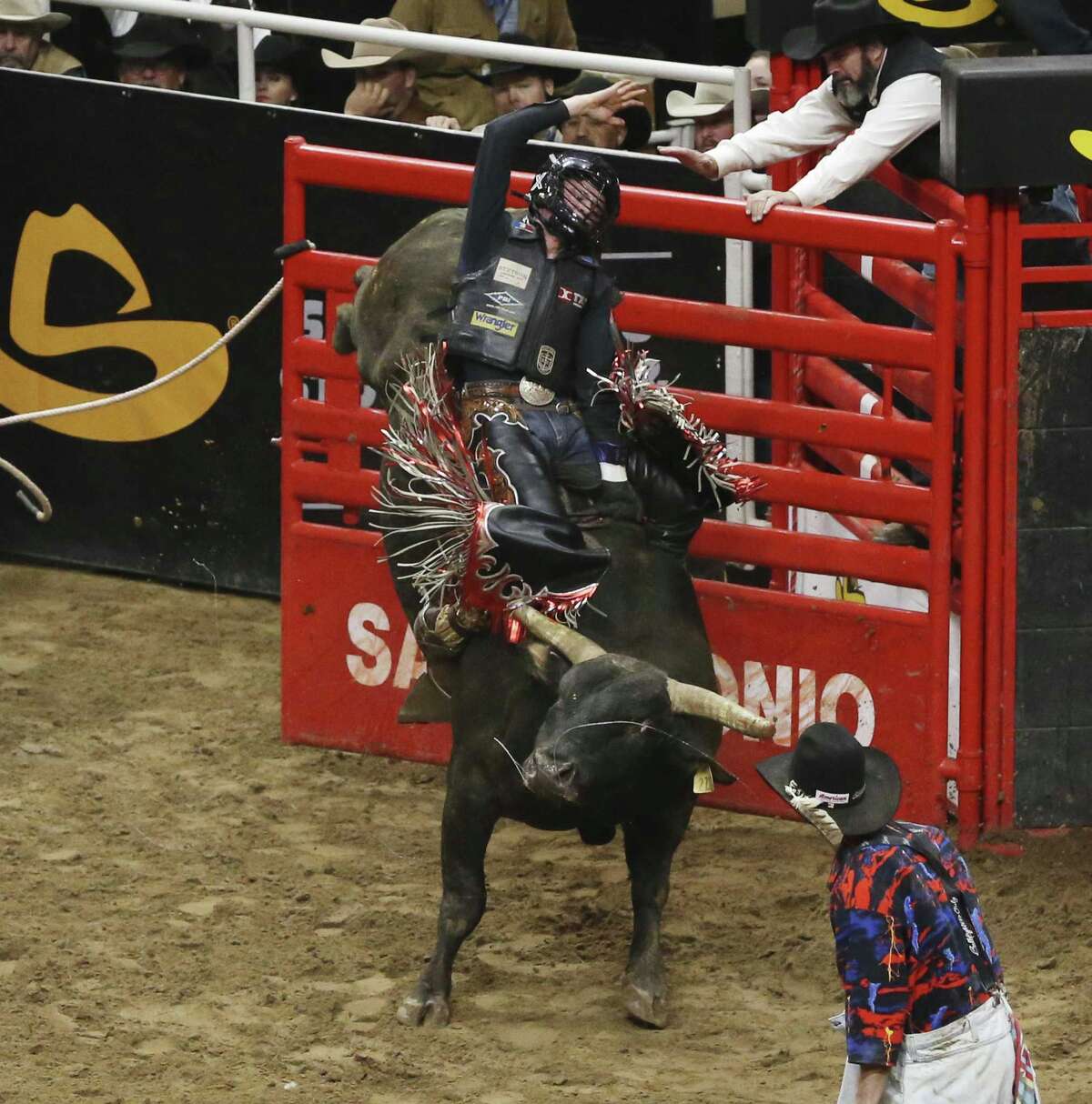 Wright brother hoping to add bull-riding to family legacy