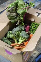 Imperfect Produce starts selling ‘ugly’ fruits, veggies in Houston