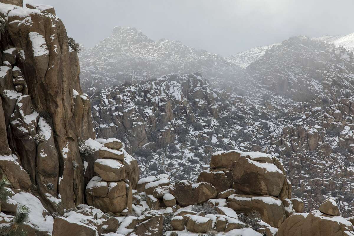 Joshua Tree dusted in rare snow, making an already otherworldly ...