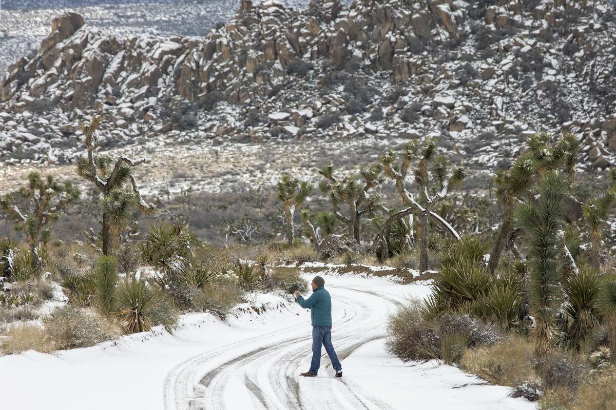 Joshua Tree dusted in rare snow, making an already otherworldly ...