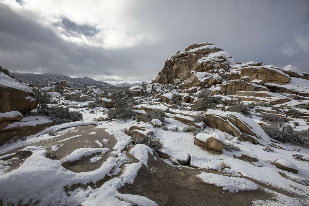Joshua Tree dusted in rare snow, making an already otherworldly ...