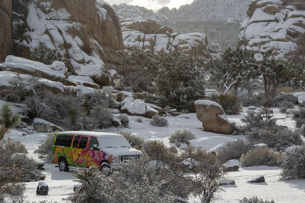 Joshua Tree dusted in rare snow, making an already otherworldly ...