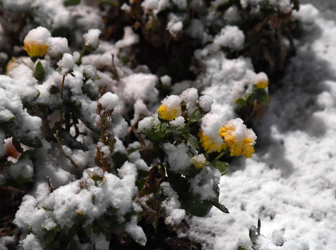 Is that a snowman on the Strip? Las Vegas sees first measurable snow in ...