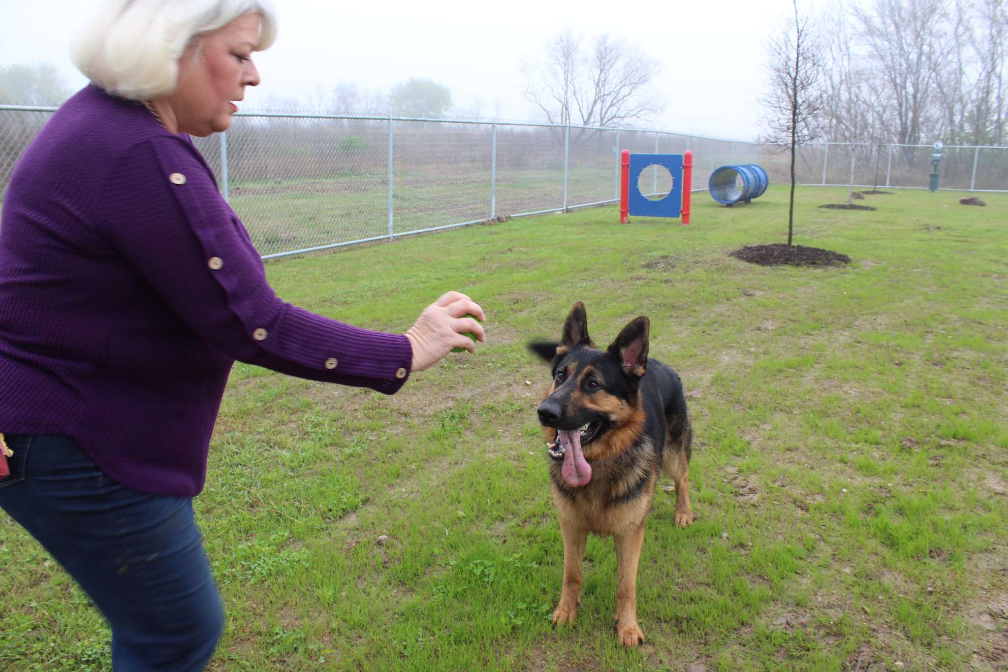 Dogs romp at new Pasadena park